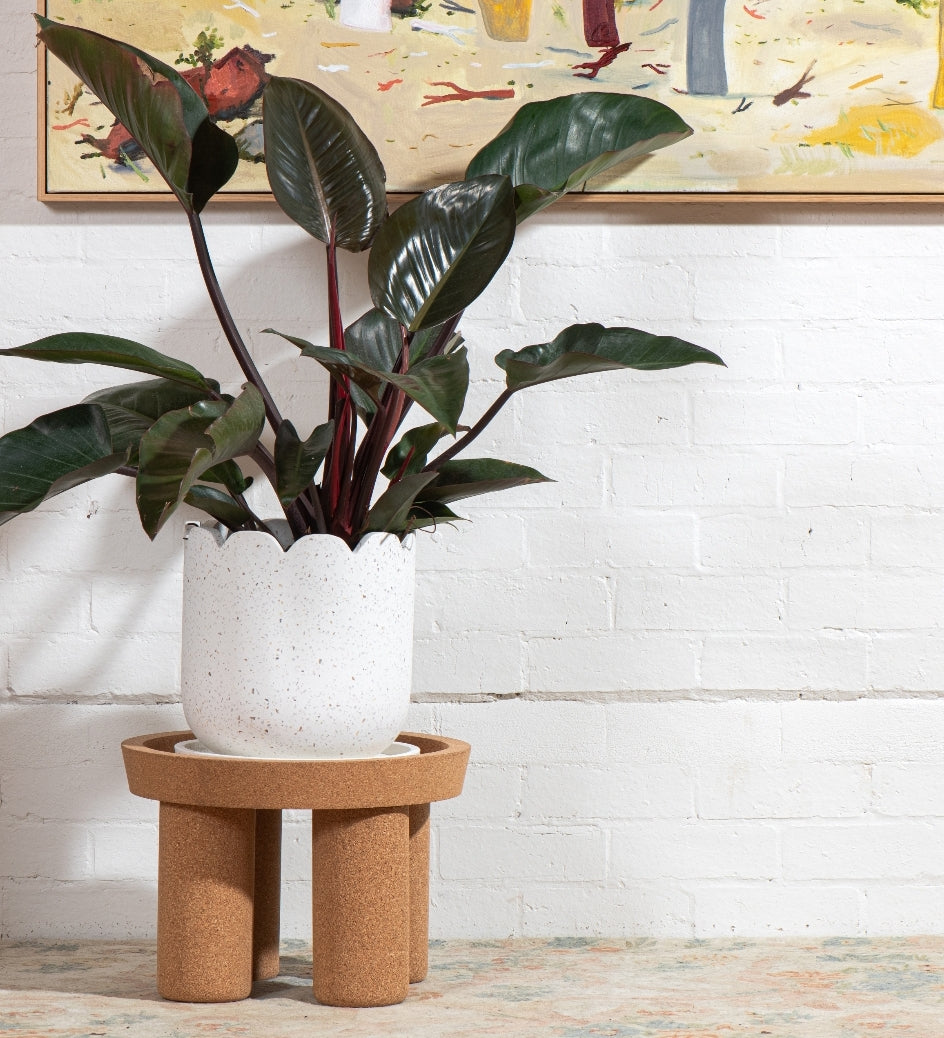 'Boots' reclaimed cork table – Big Daisy